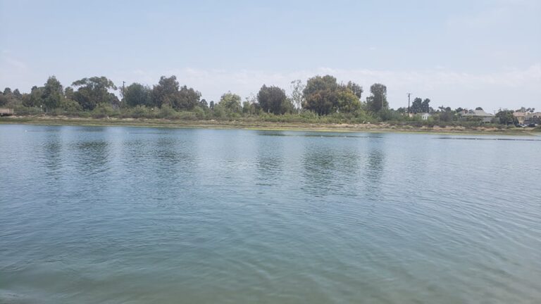 Visiting Colorado Lagoon in Long Beach - longbeachkids.com